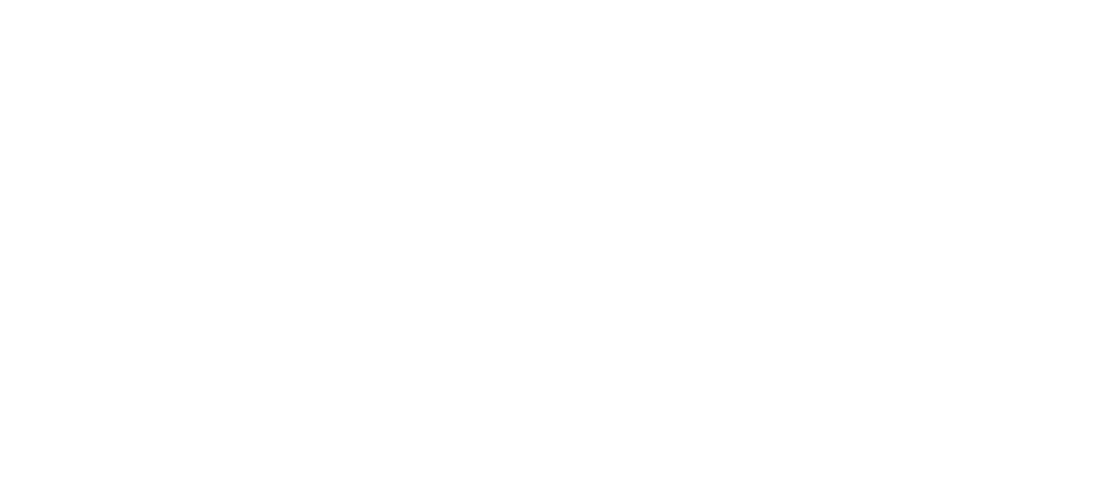 CONAPINA - Consejo Nacional de la Primera Infancia, Niñez y Adolescencia.